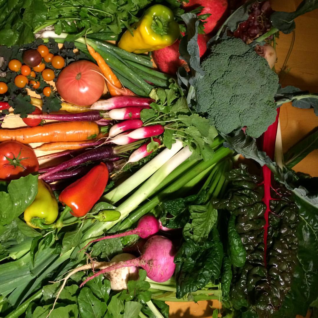 SEASONAL RECIPES & HIGHLIGHTS | Outer Aisle FOOD HUB